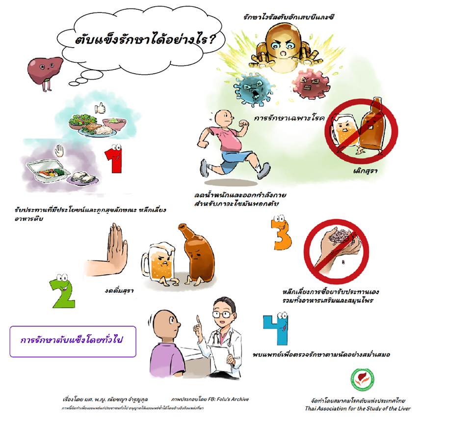 รู้เรื่องตับแข็ง (Liver Cirrhosis) – สมาคมโรคตับแห่งประเทศไทย